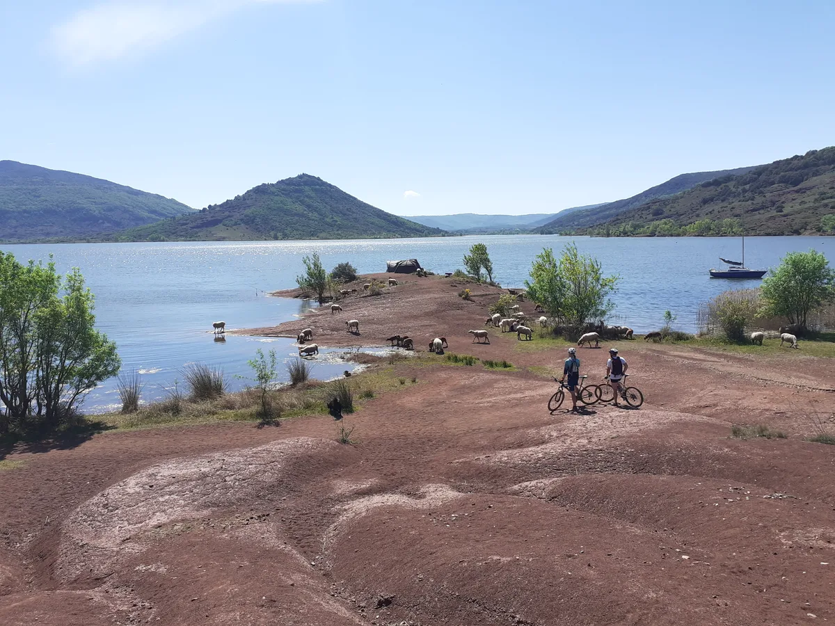 Clermont-l'Hérault : une nouvelle navette gratuite à destination du lac ...